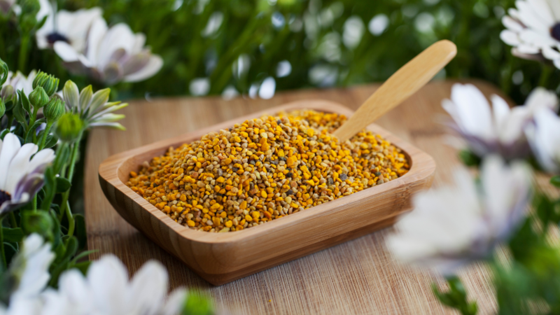 Quels sont les bienfaits du pollen de fleurs ? - Le Blog des Créateurs Bio